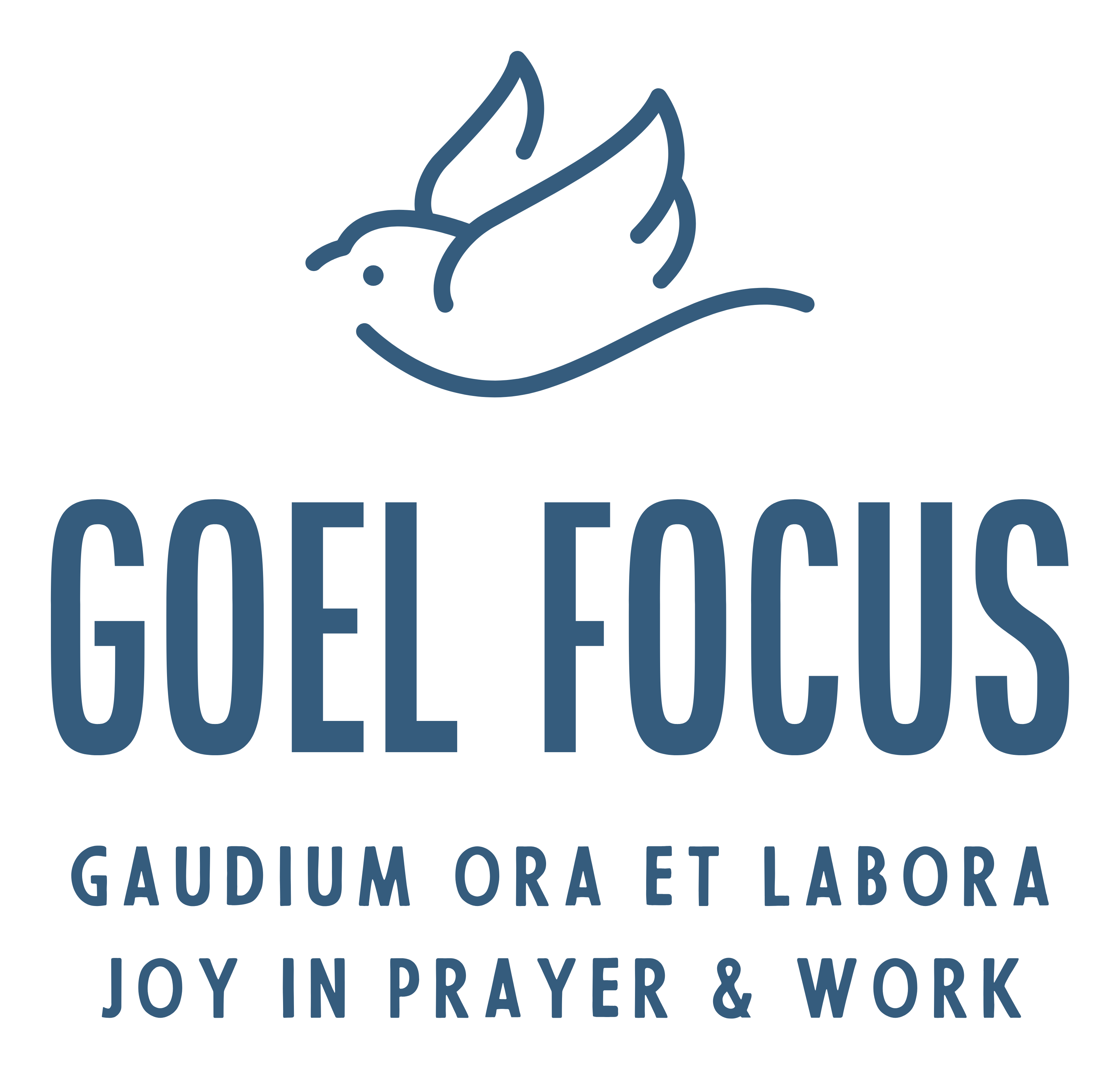 Color logo with background | GOEL Focus, LLC