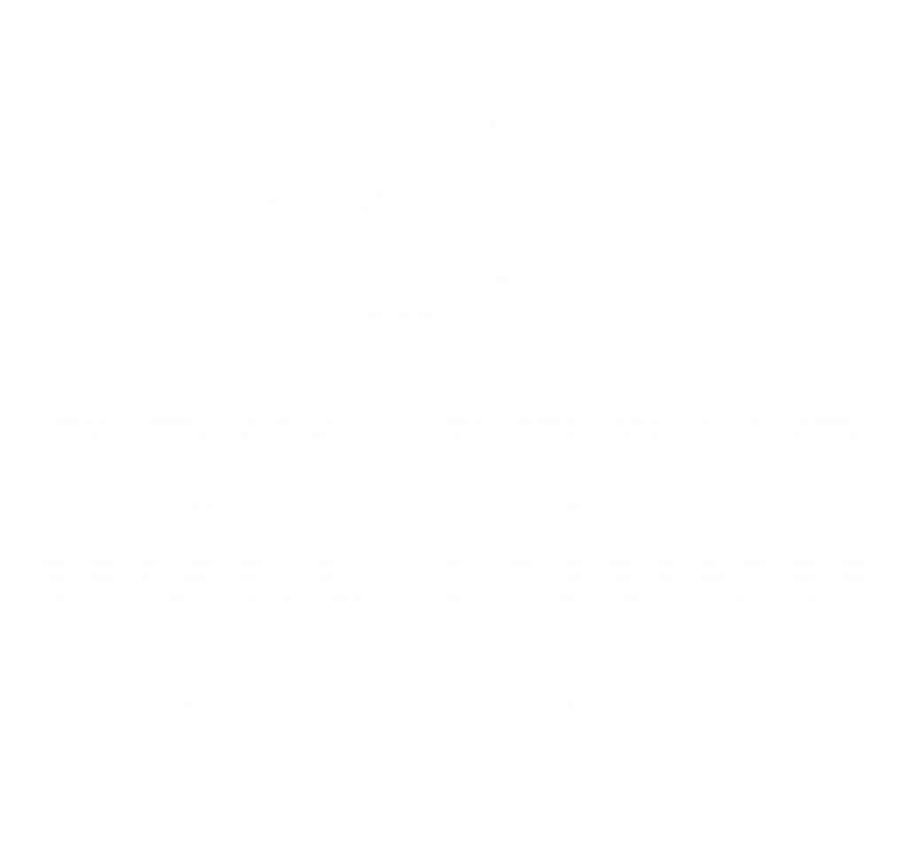 White-logo-no-background.png | GOEL Focus, LLC